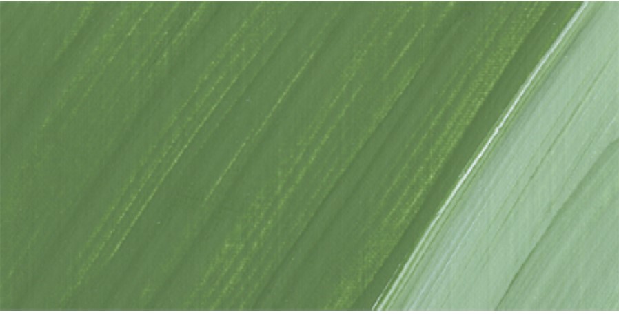 Lukas cryl liquid - oxide of chromium - flacon 250 ml. Martin Brinkhuis